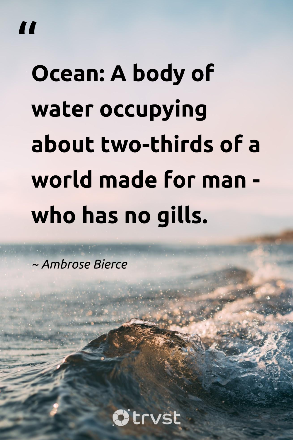 103 Ocean Quotes That Capture Its Beauty and Power (2024)