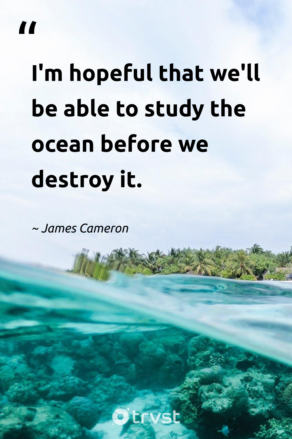 103 Ocean Quotes That Capture Its Beauty and Power (2025)