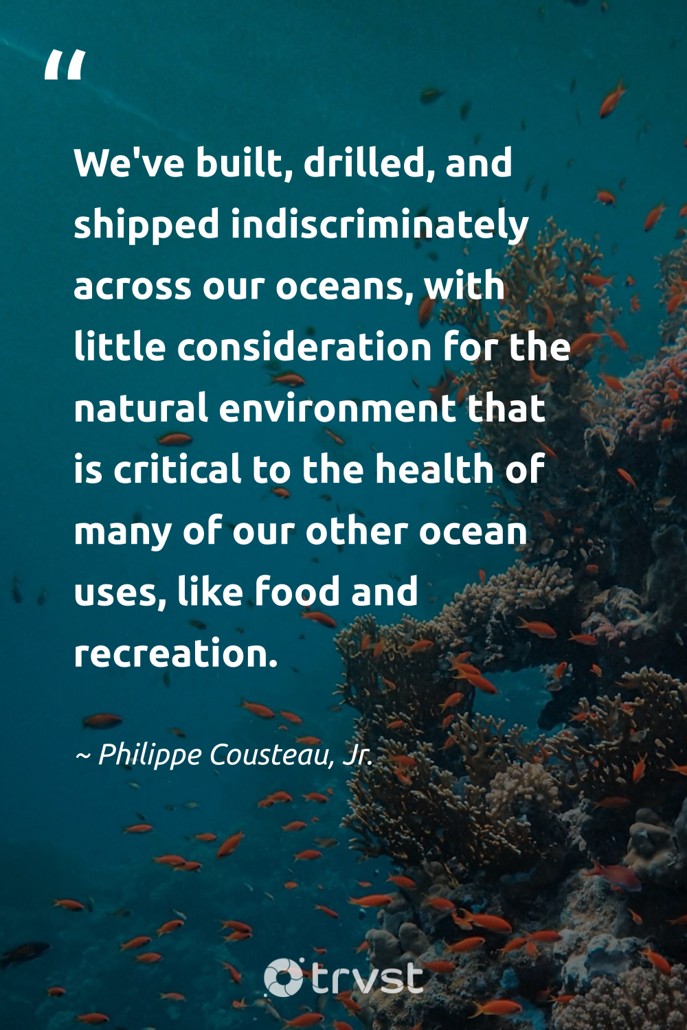 103 Ocean Quotes That Capture Its Beauty and Power (2025)