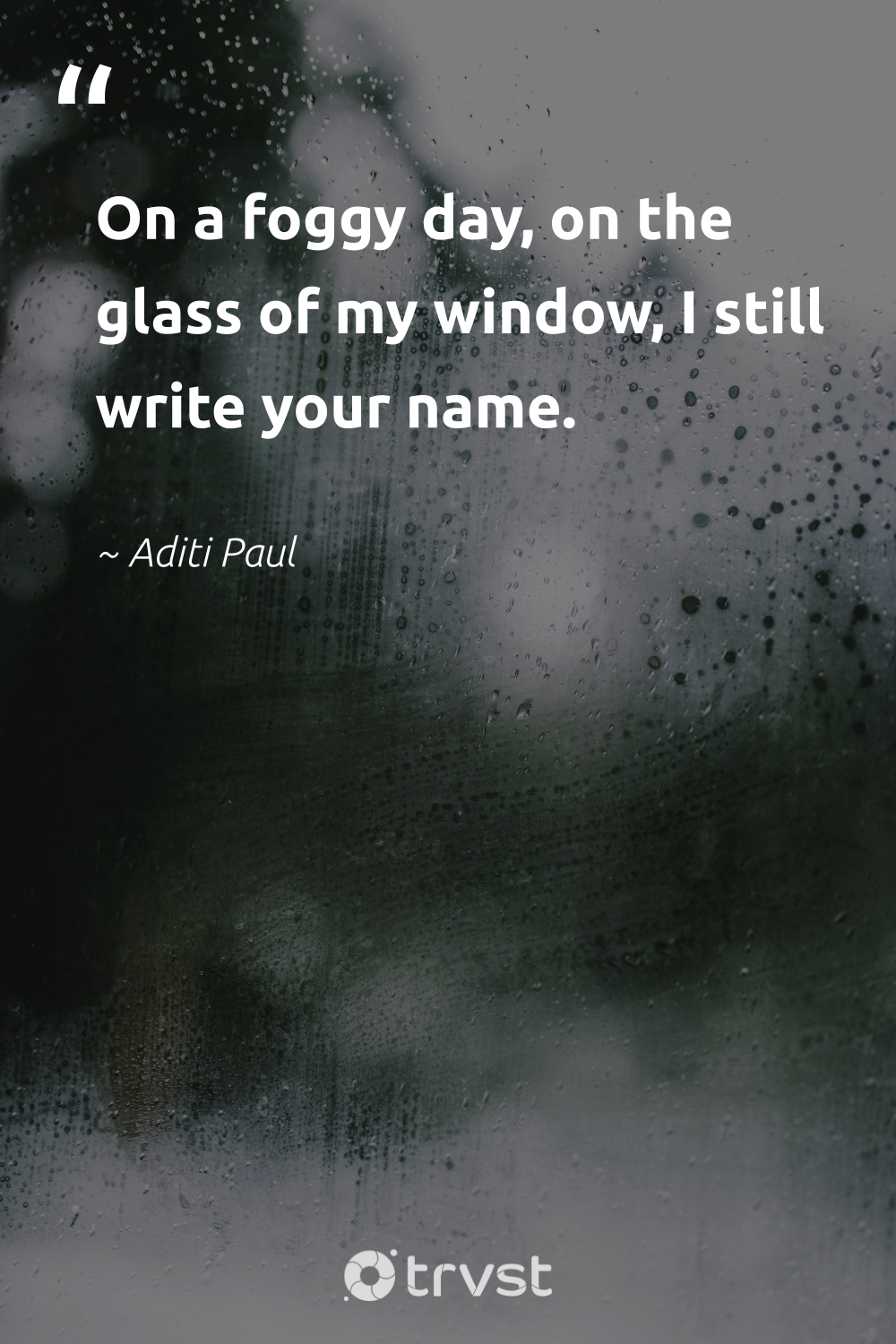 66 Fog Quotes for Those Quiet Misty Morning Reflections (2025)