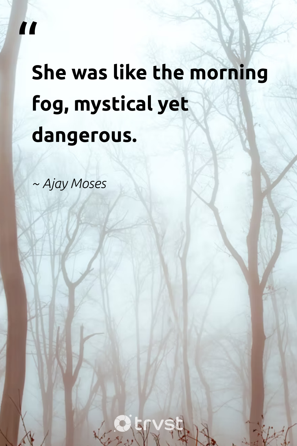66 Fog Quotes for Those Quiet Misty Morning Reflections (2024)
