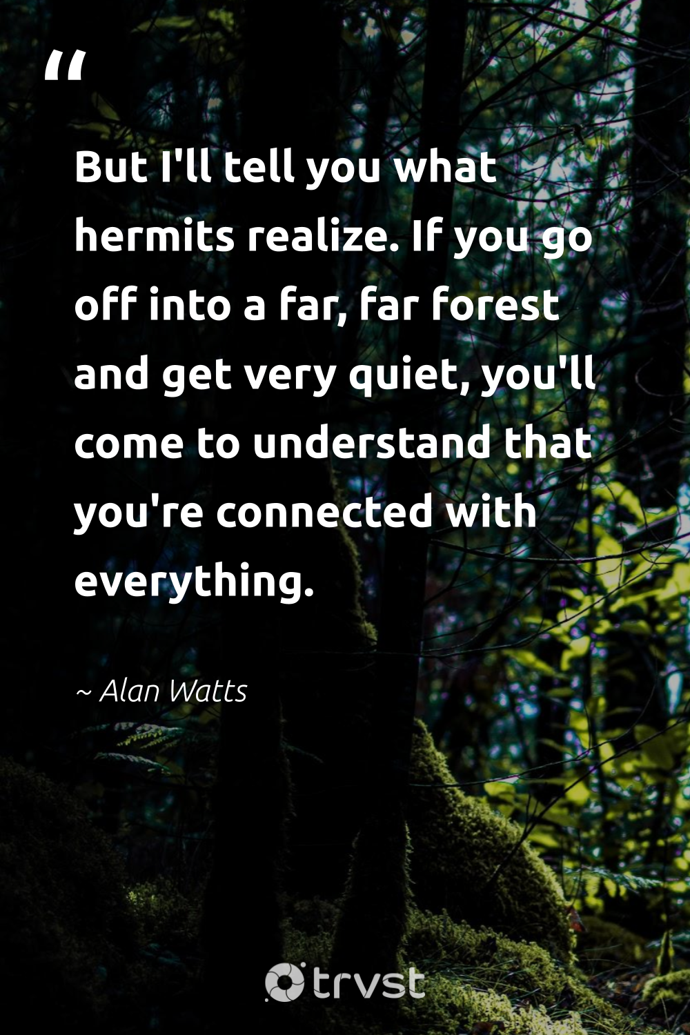 83 Forest Quotes For Outdoor Adventure and Conservation (2024)