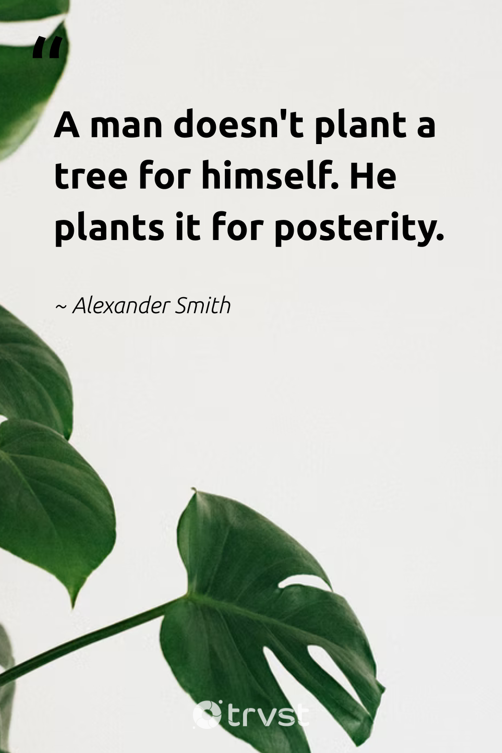 69 Plant Quotes to Inspire Your Green Thumb and Plant Love