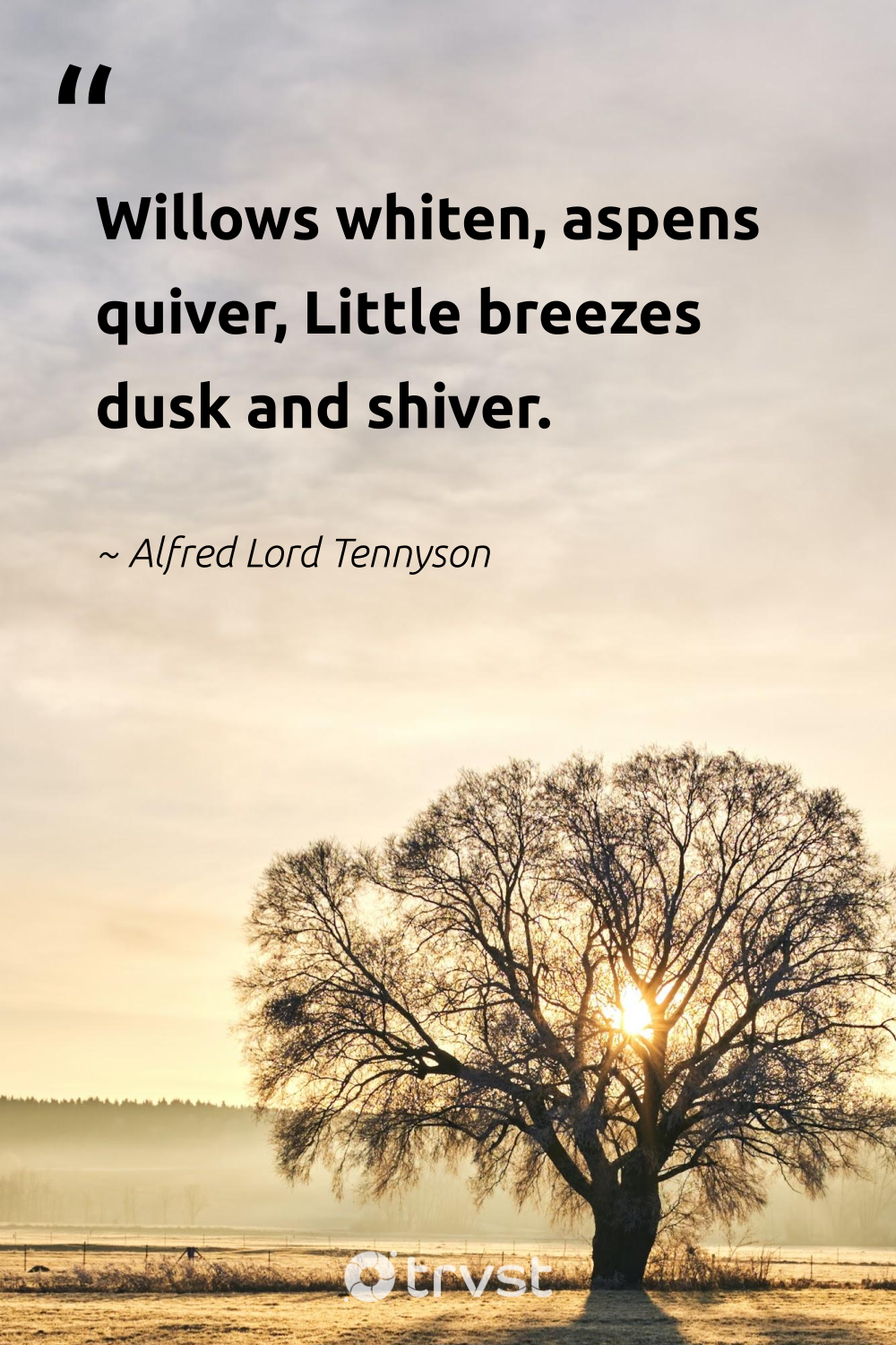 41 Dusk Quotes For the Transition from Day to Night (2025)