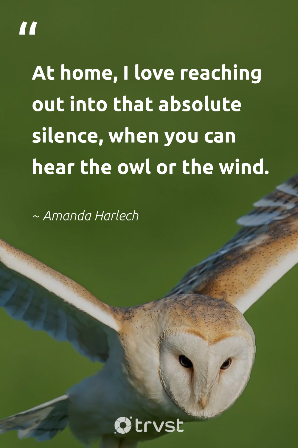 72 Wind Quotes About Brisk Days and Windy Moments (2025)