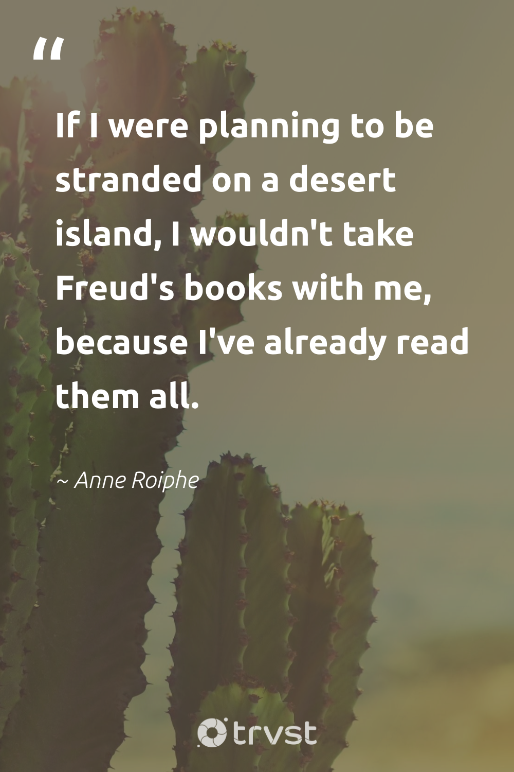 54 Desert Quotes About Life and The Beauty of Barren Landscapes