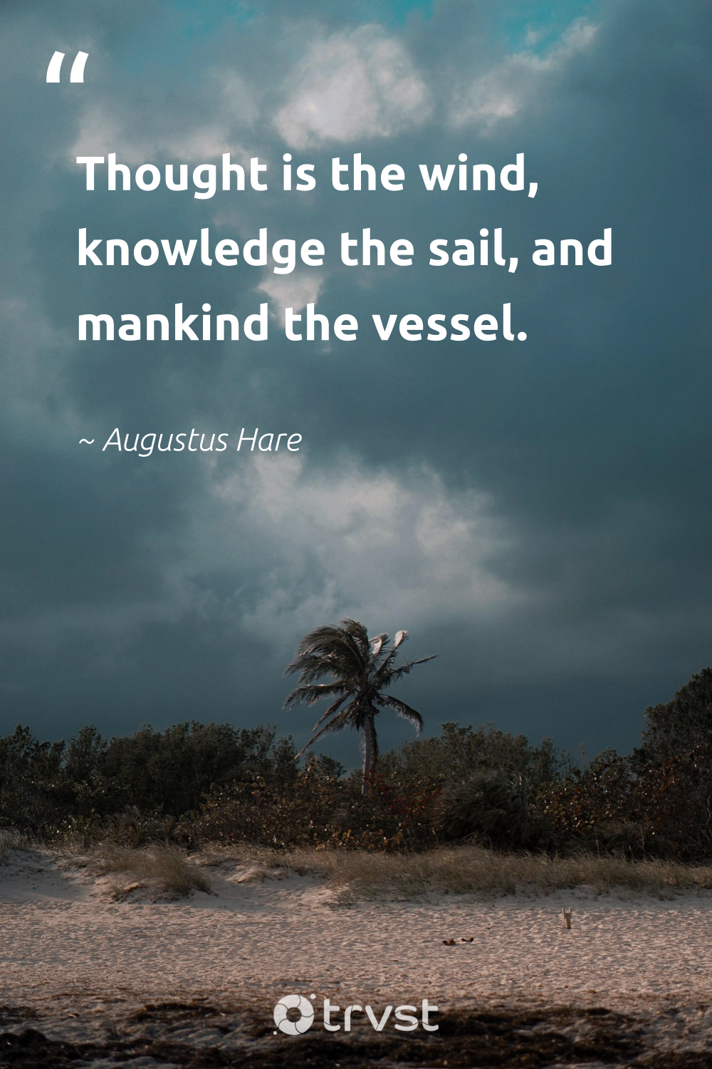 72 Wind Quotes About Brisk Days and Windy Moments (2024)