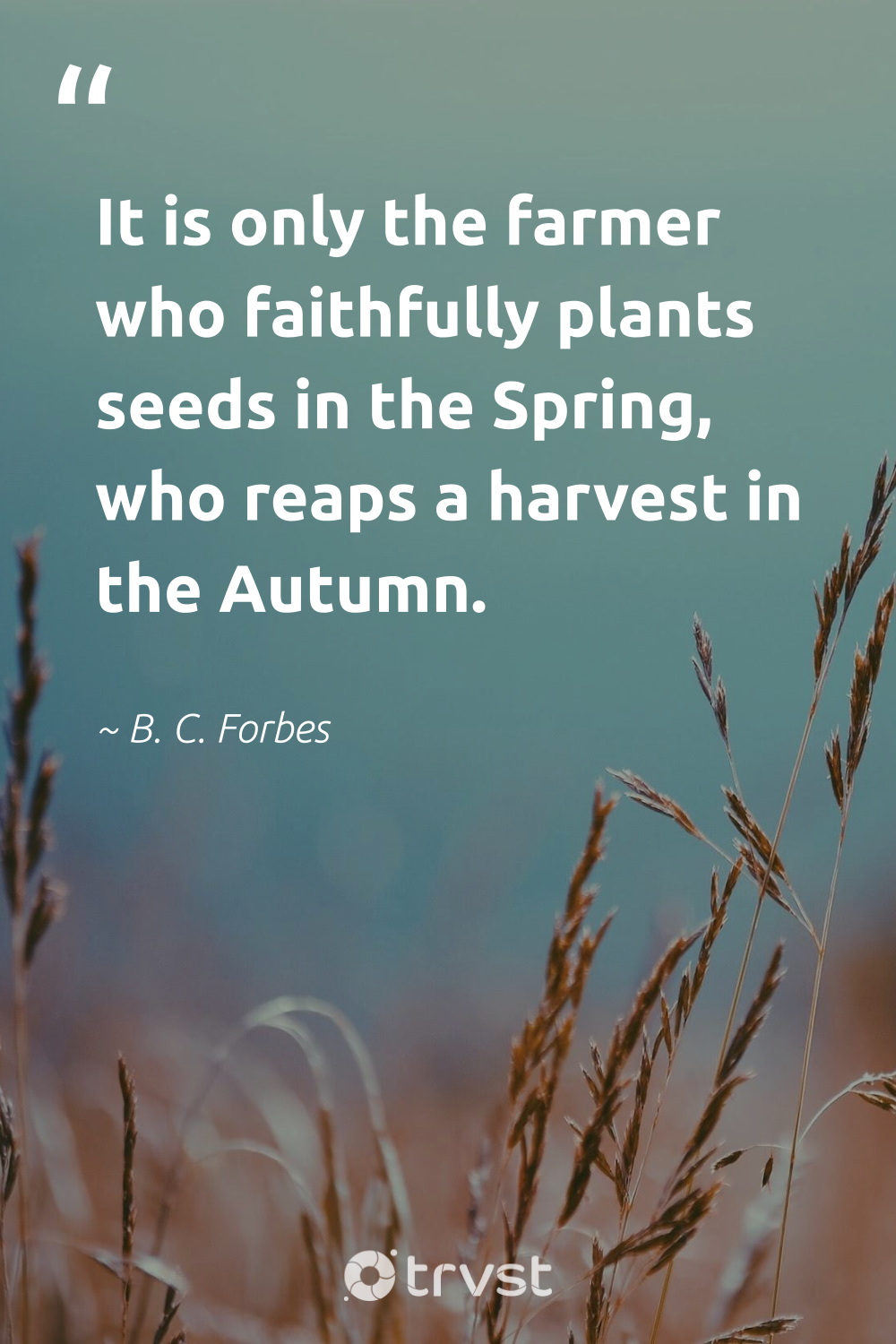 69 Plant Quotes to Inspire Your Green Thumb and Plant Love