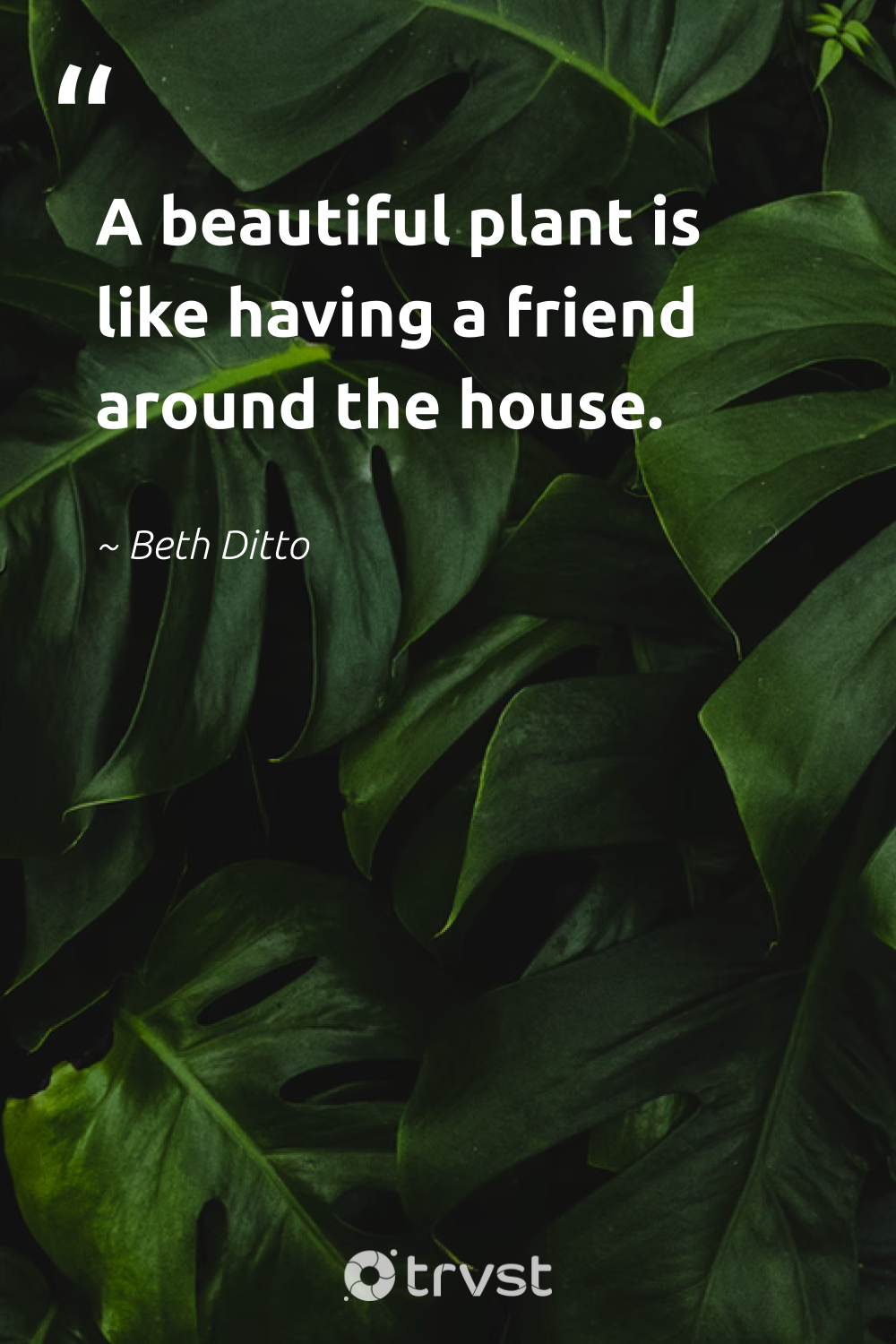 69 Plant Quotes to Inspire Your Green Thumb and Plant Love