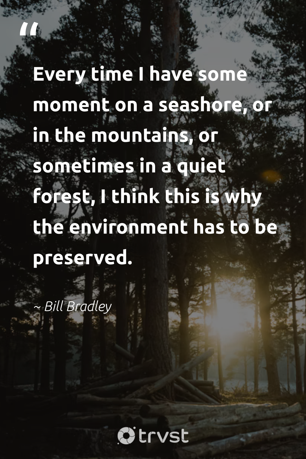 83 Forest Quotes For Outdoor Adventure and Conservation (2025)