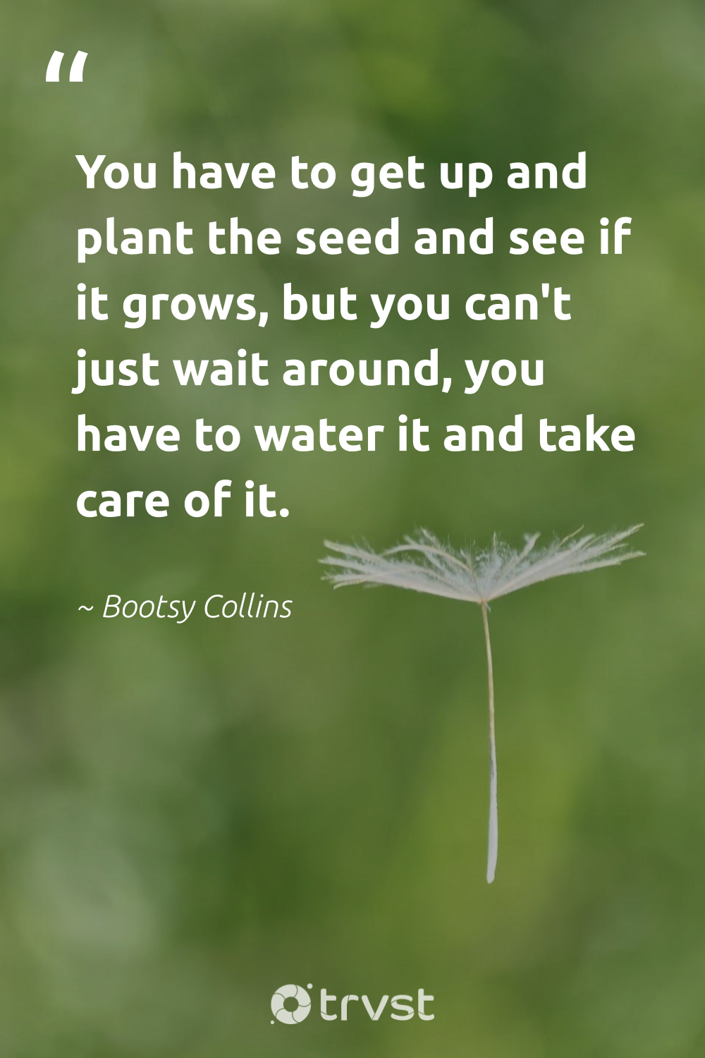 69 Plant Quotes to Inspire Your Green Thumb and Plant Love