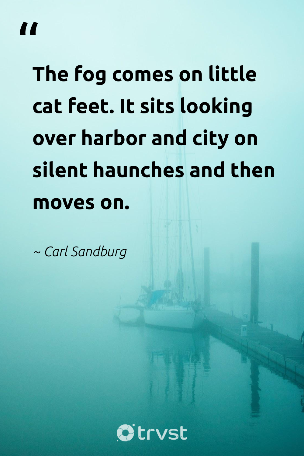 66 Fog Quotes for Those Quiet Misty Morning Reflections (2024)