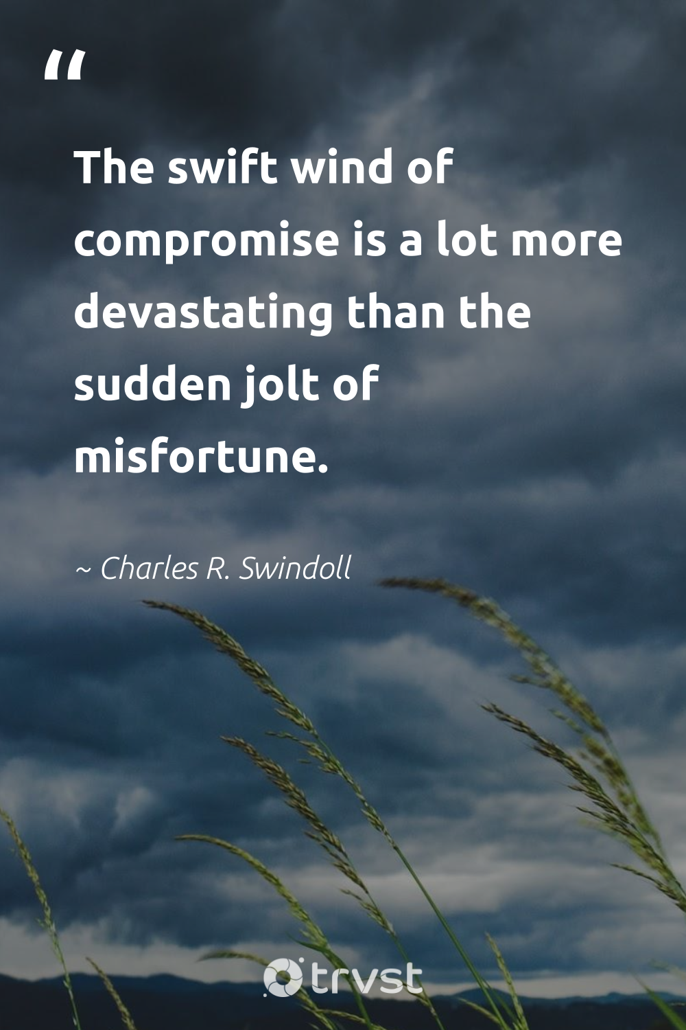 72 Wind Quotes About Brisk Days and Windy Moments (2025)