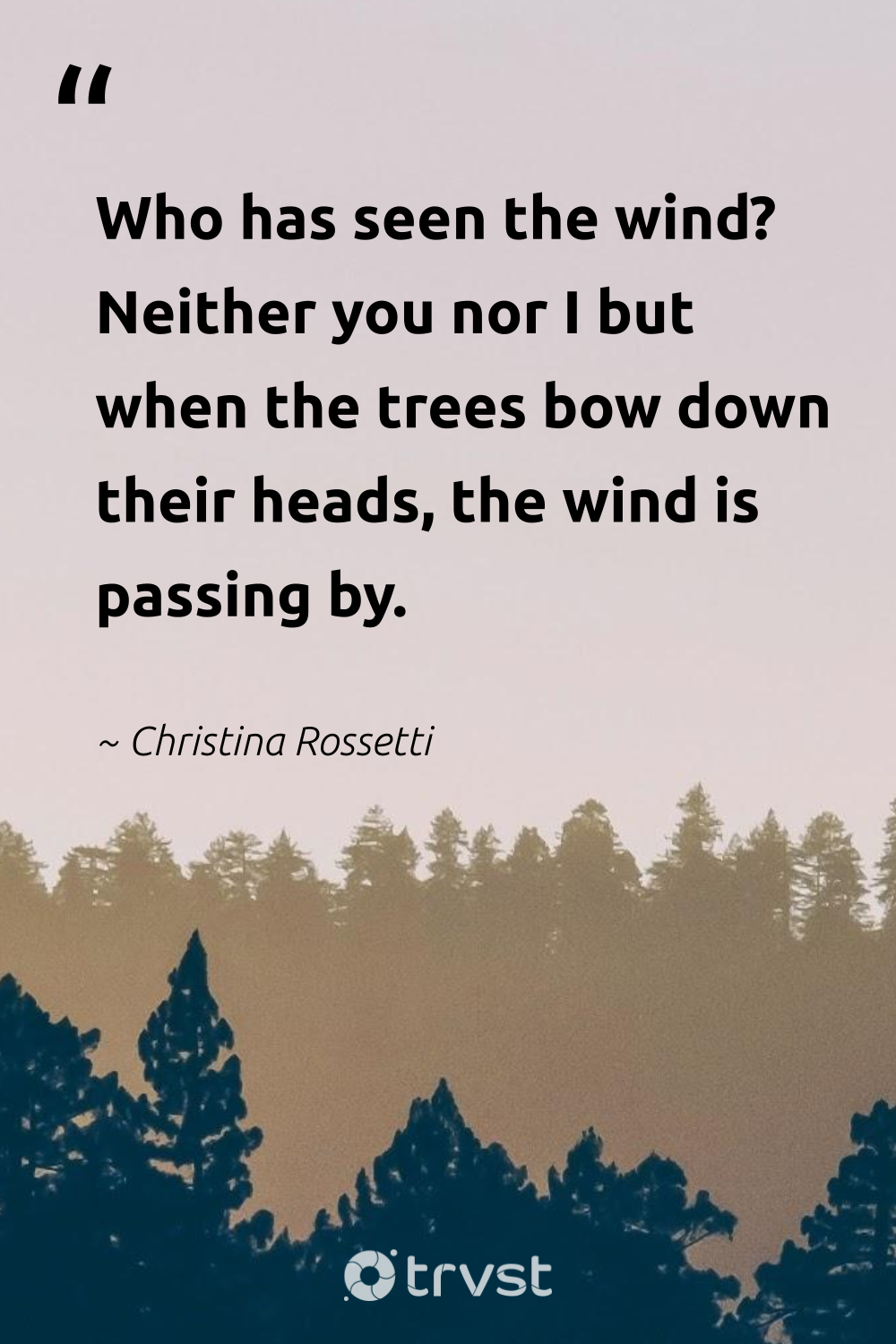 72 Wind Quotes About Brisk Days and Windy Moments (2025)