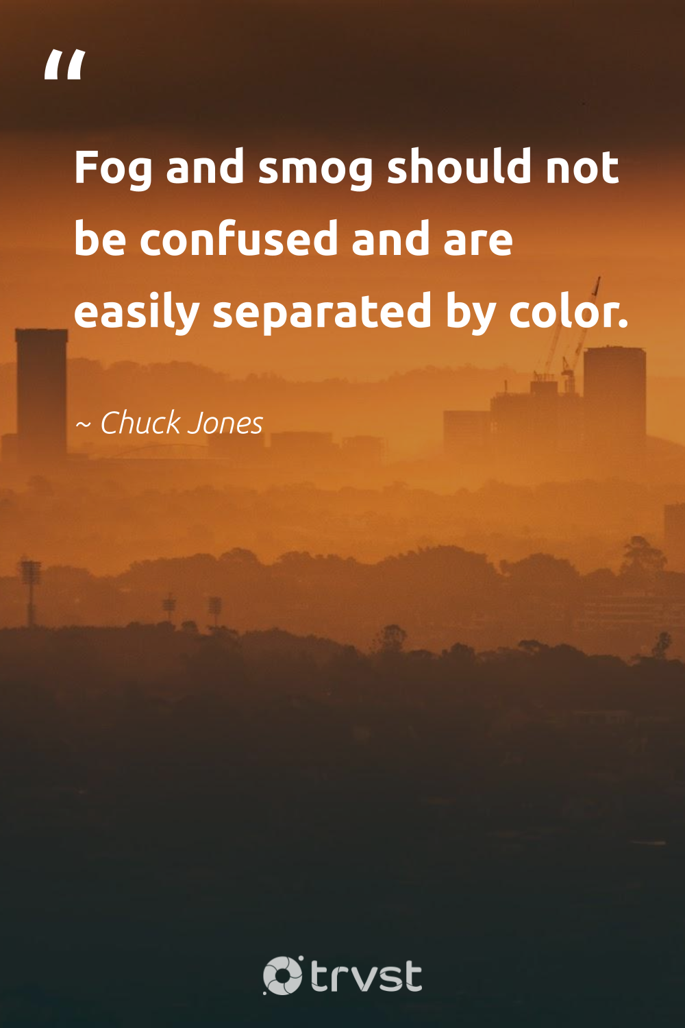 66 Fog Quotes for Those Quiet Misty Morning Reflections (2024)