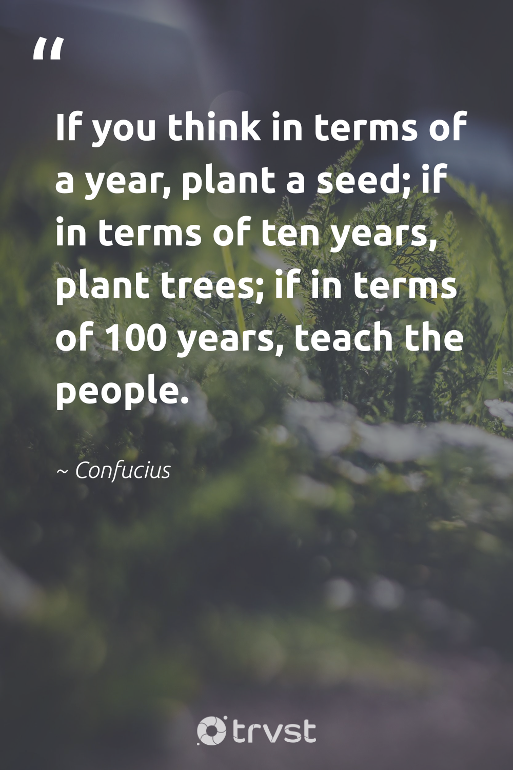 69 Plant Quotes to Inspire Your Green Thumb and Plant Love