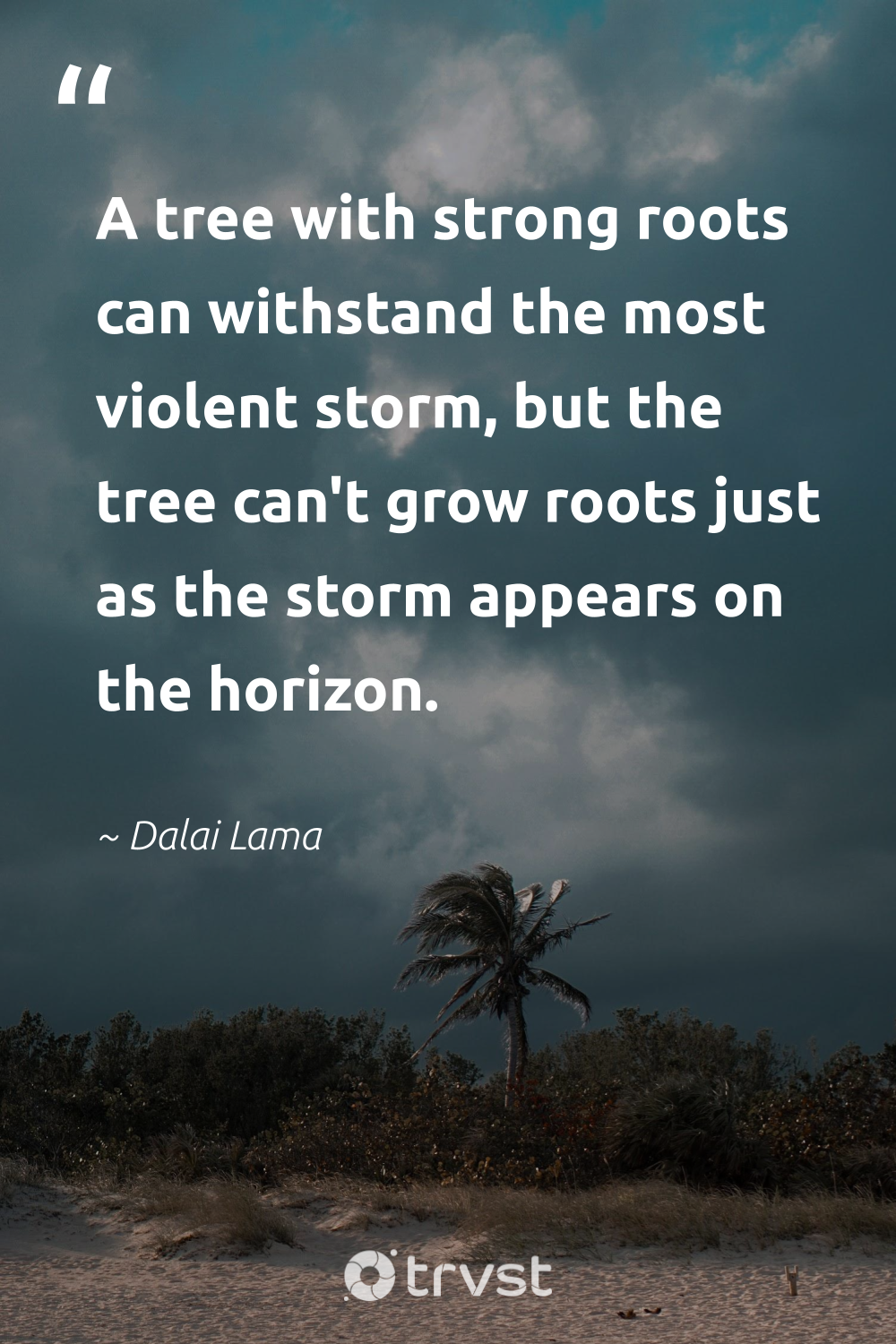 65 Storm Quotes To Navigate Choppy Weather (2025)