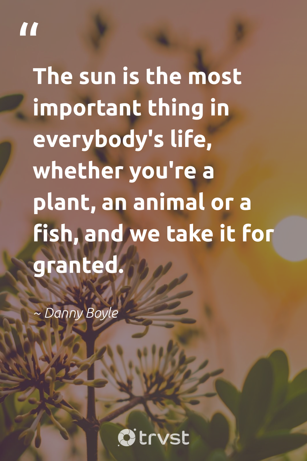 69 Plant Quotes to Inspire Your Green Thumb and Plant Love