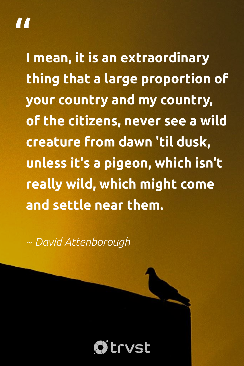 41 Dusk Quotes For the Transition from Day to Night (2025)