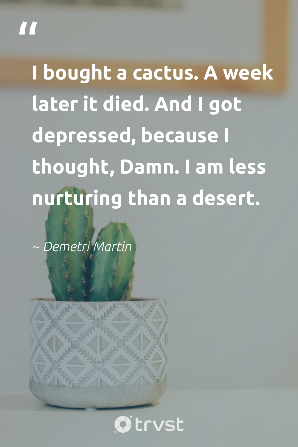 34 Cactus Quotes About Prickles and Resilience (2025)