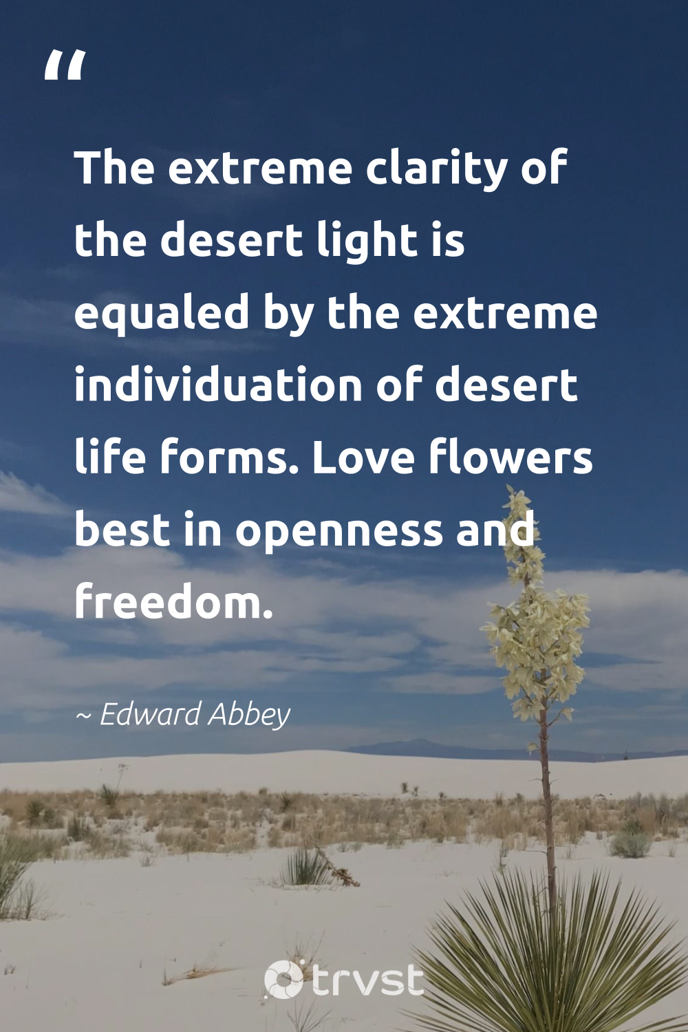 54 Desert Quotes About Life and The Beauty of Barren Landscapes
