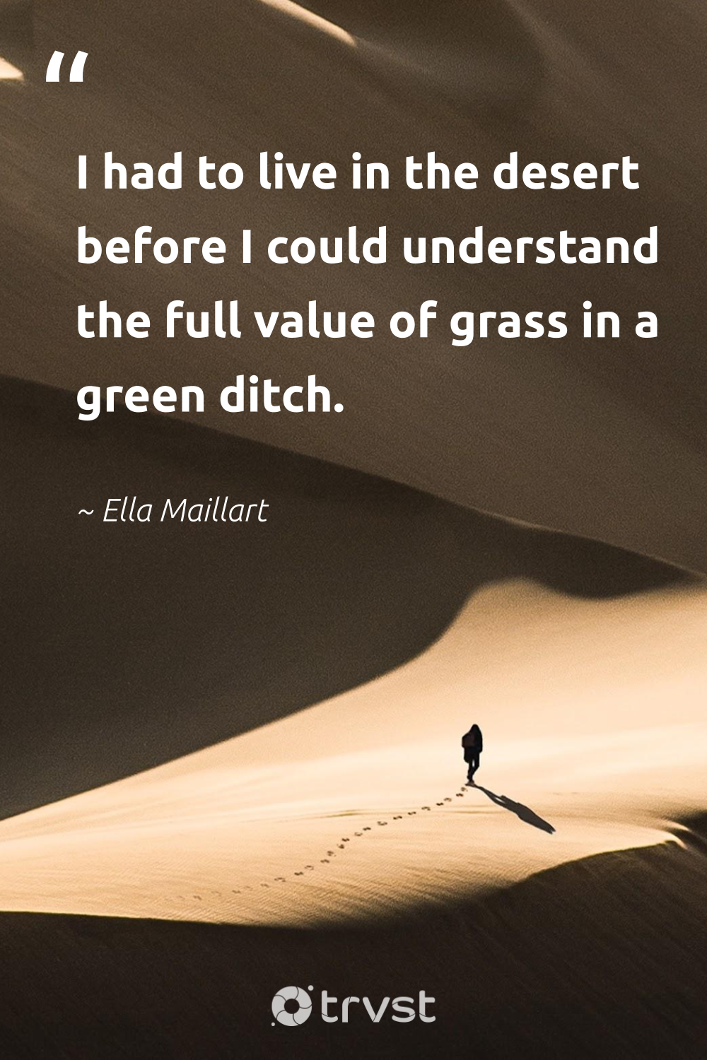 54 Desert Quotes About Life and The Beauty of Barren Landscapes