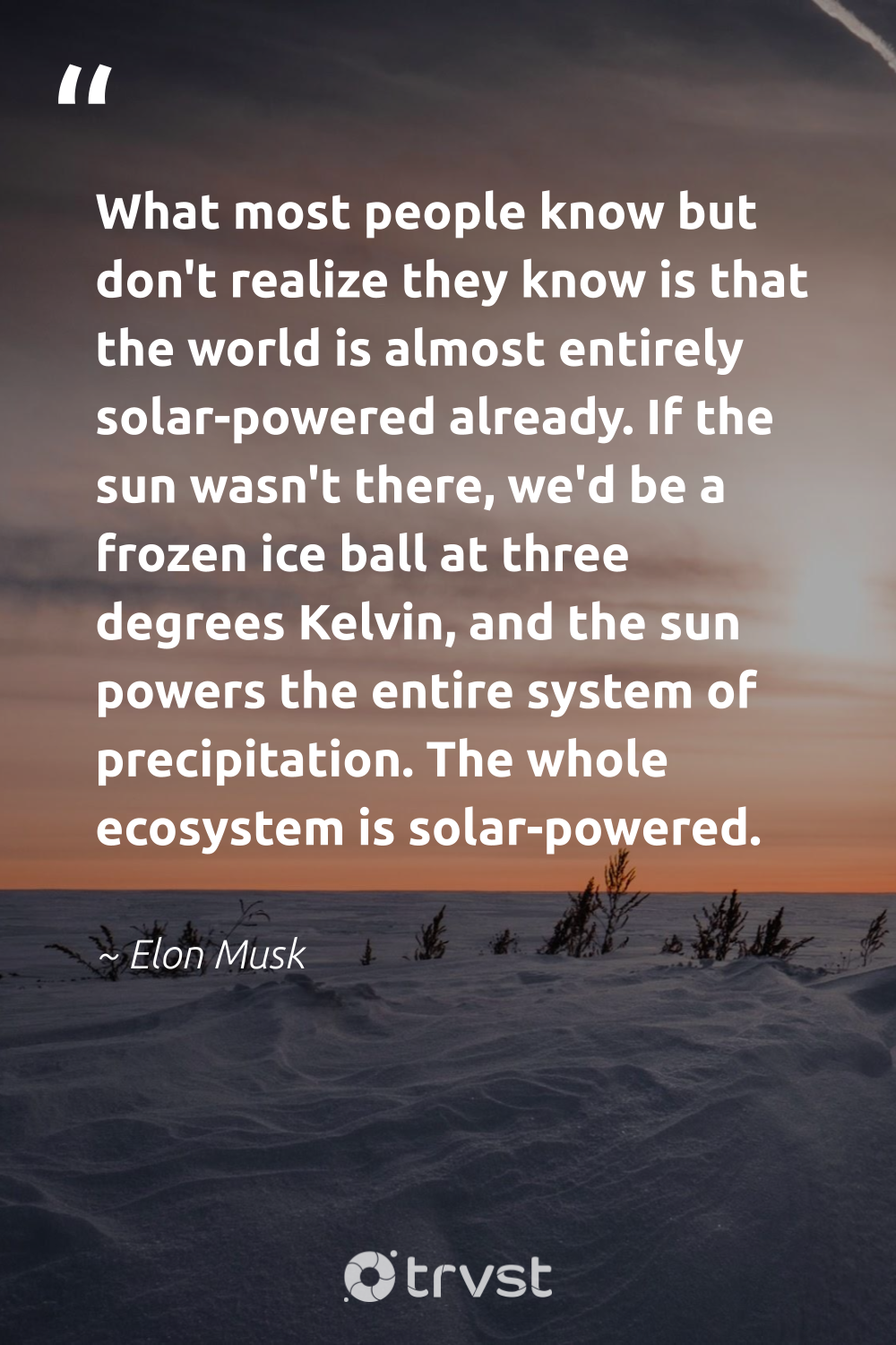 36 Ice Quotes That Remind Us To Protect All Of Nature (2024