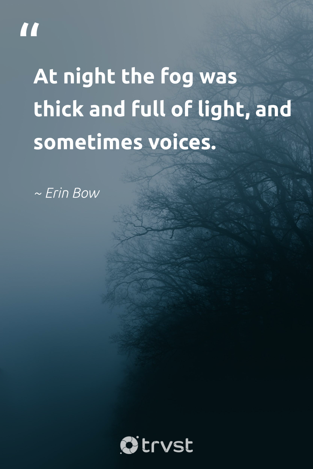 66 Fog Quotes for Those Quiet Misty Morning Reflections (2024)