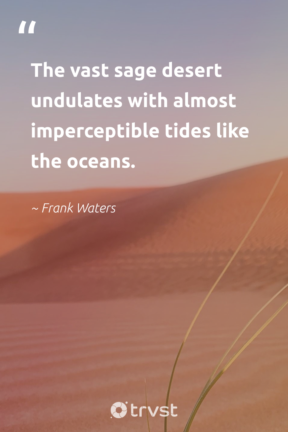 54 Desert Quotes About Life and The Beauty of Barren Landscapes