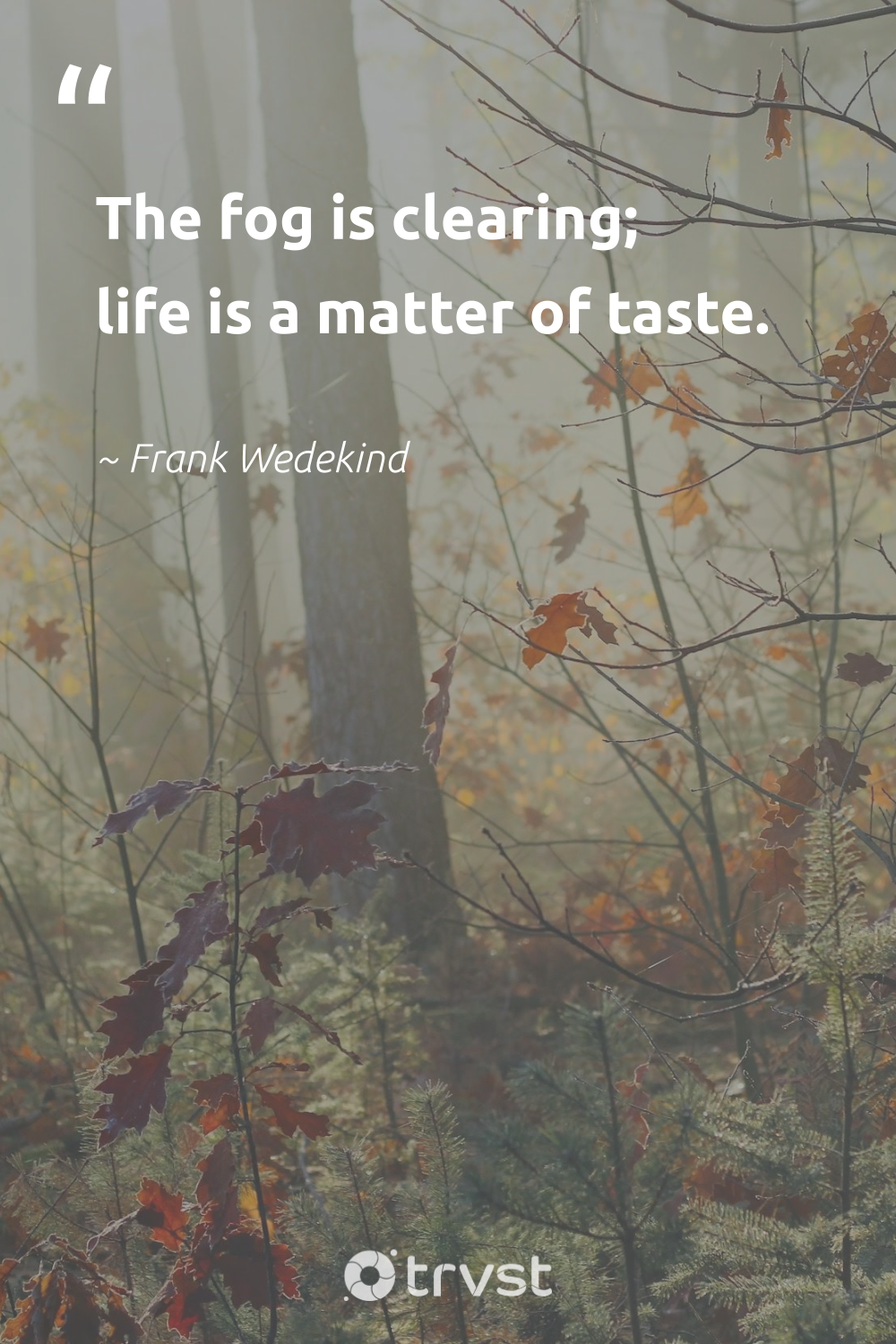 66 Fog Quotes for Those Quiet Misty Morning Reflections (2024)