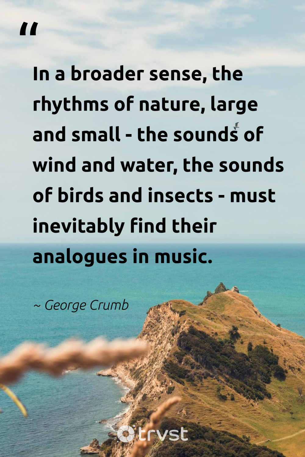 72 Wind Quotes About Brisk Days and Windy Moments (2025)