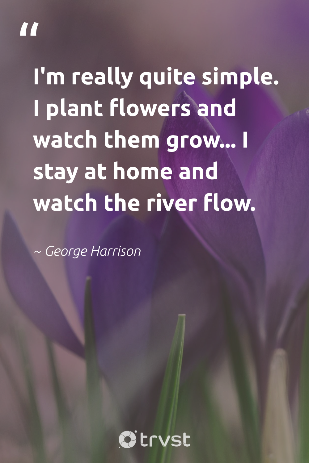 69 Plant Quotes to Inspire Your Green Thumb and Plant Love