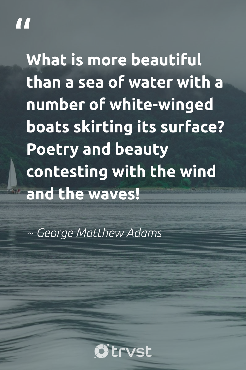 57 Waves Quotes for Beach Moments & Life Journeys (2025)