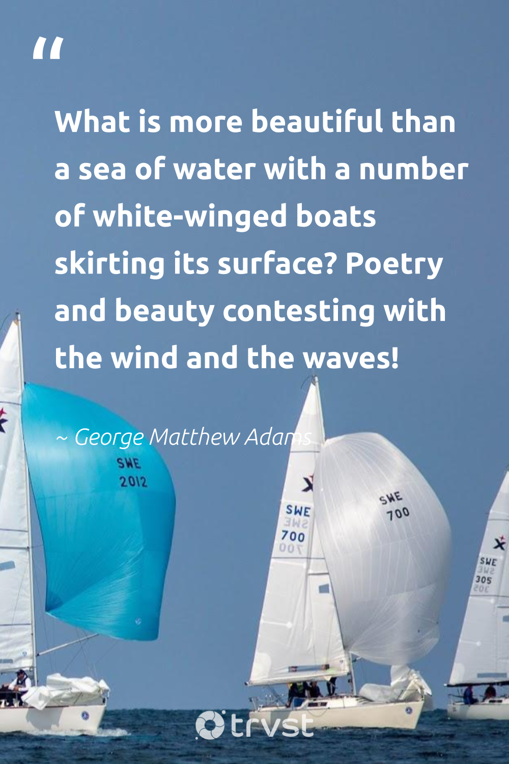 72 Wind Quotes About Brisk Days and Windy Moments (2025)