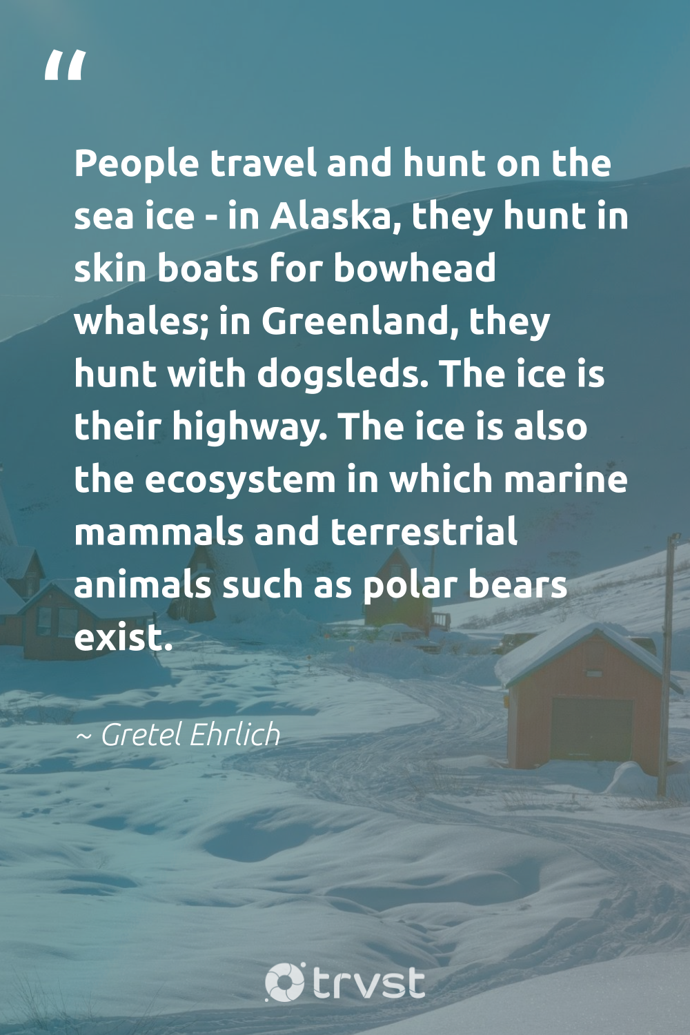 36 Ice Quotes That Remind Us To Protect All Of Nature (2025)