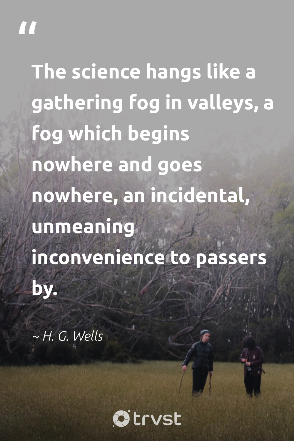 66 Fog Quotes for Those Quiet Misty Morning Reflections (2024)