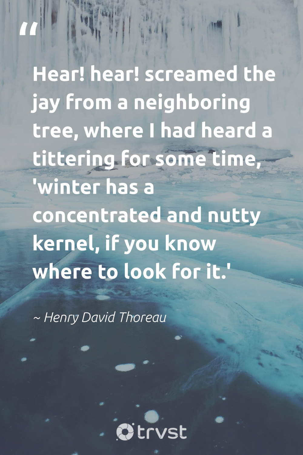 36 Ice Quotes That Remind Us To Protect All Of Nature (2024