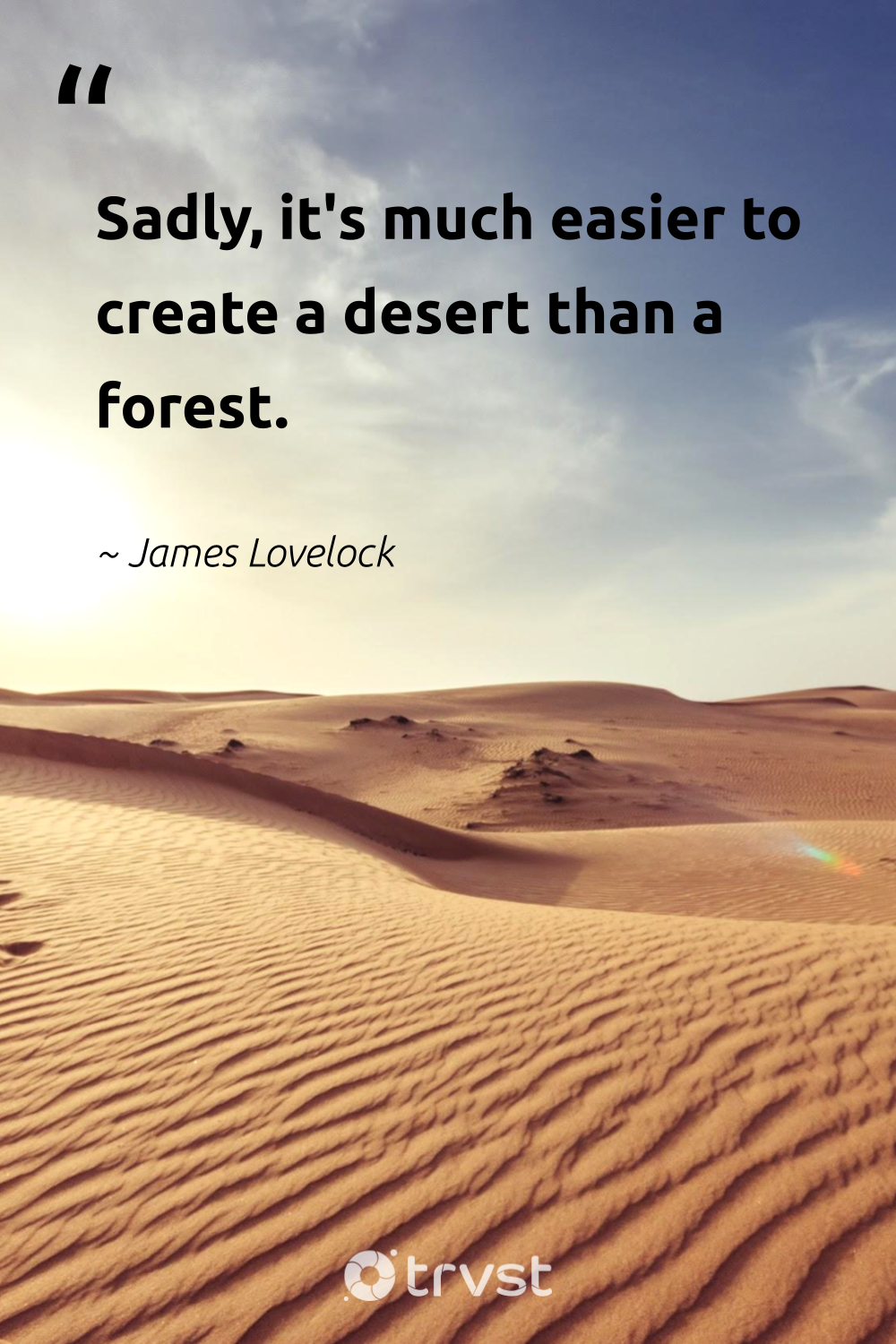 54 Desert Quotes About Life and The Beauty of Barren Landscapes