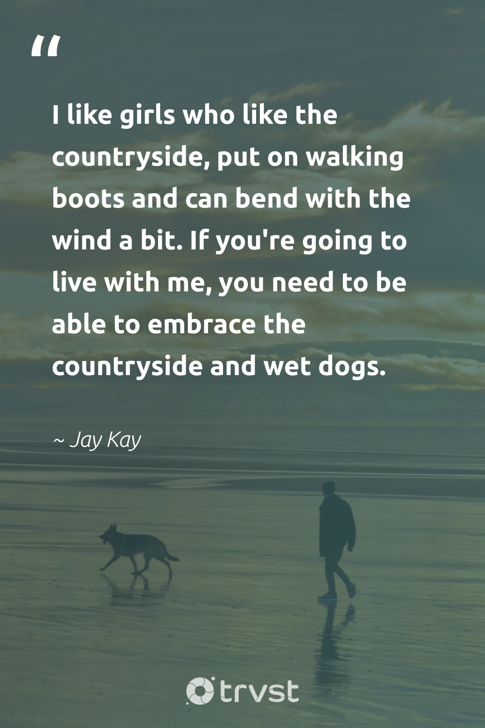 72 Wind Quotes About Brisk Days and Windy Moments (2024)