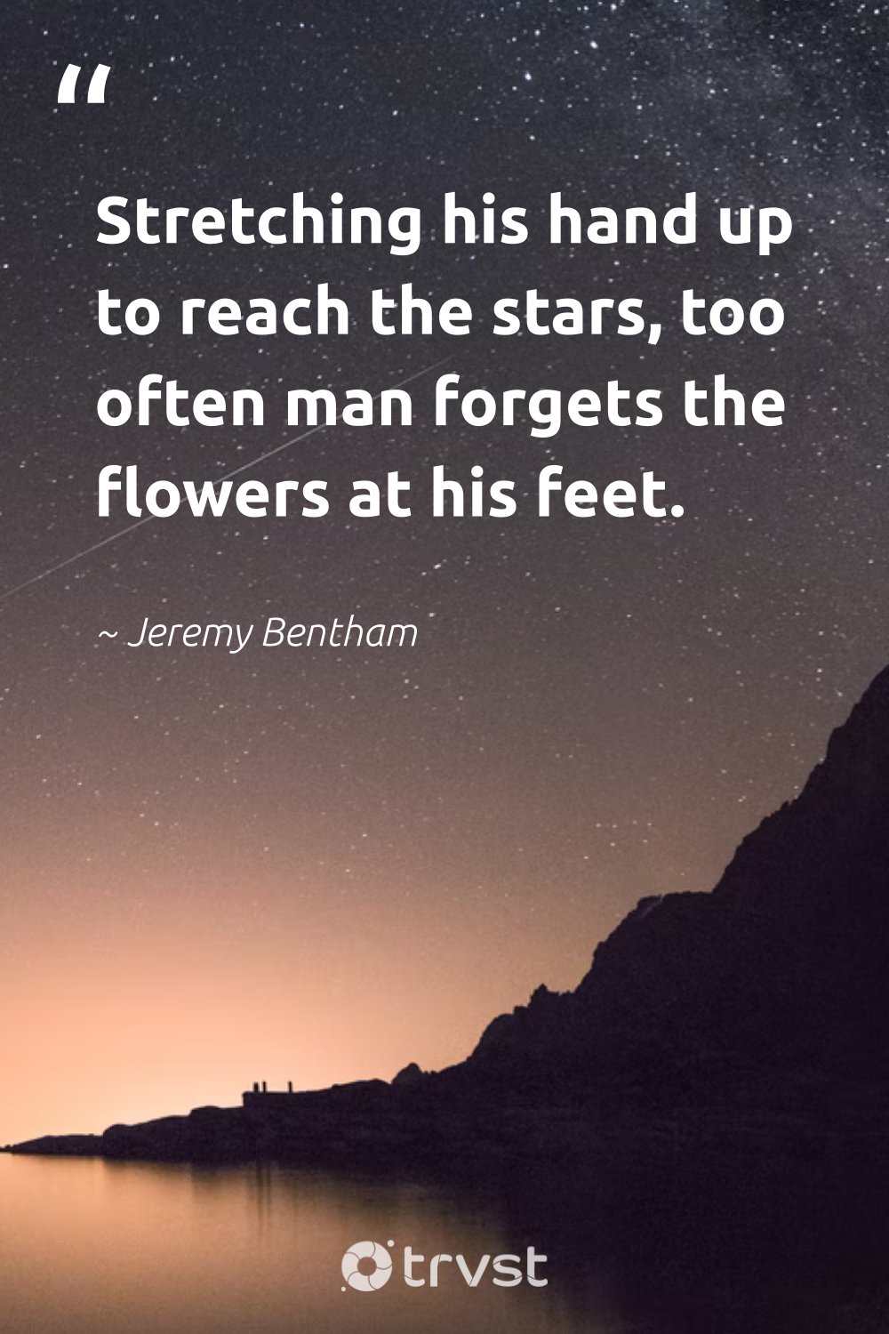 95 Star Quotes For Pondering Starry Nights And Reflection (2024)