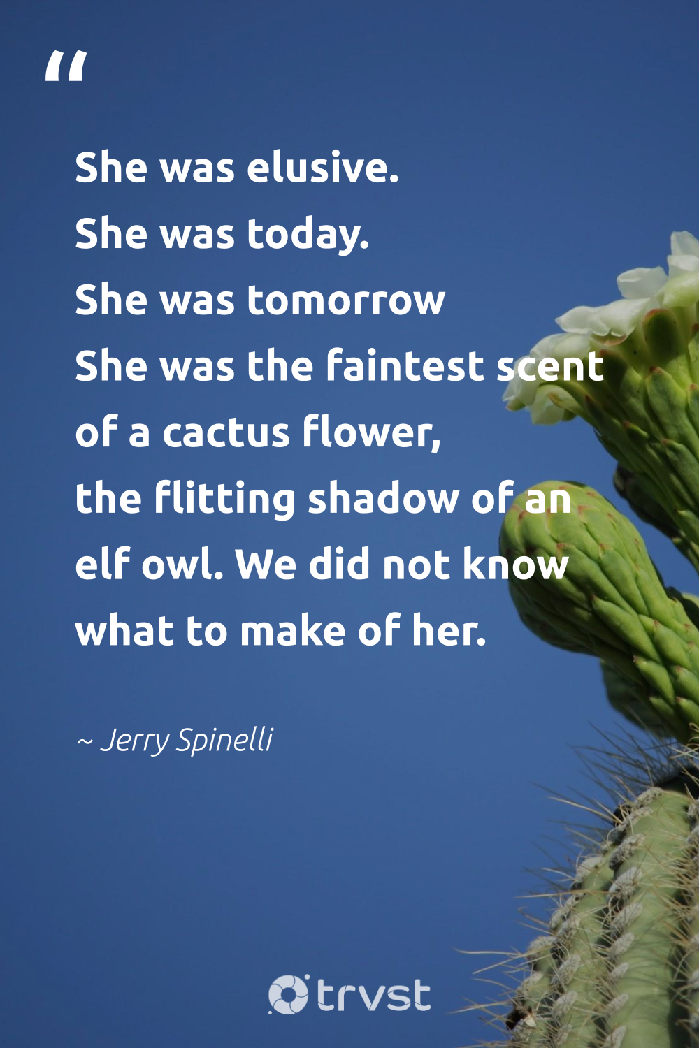 34 Cactus Quotes About Prickles and Resilience (2025)