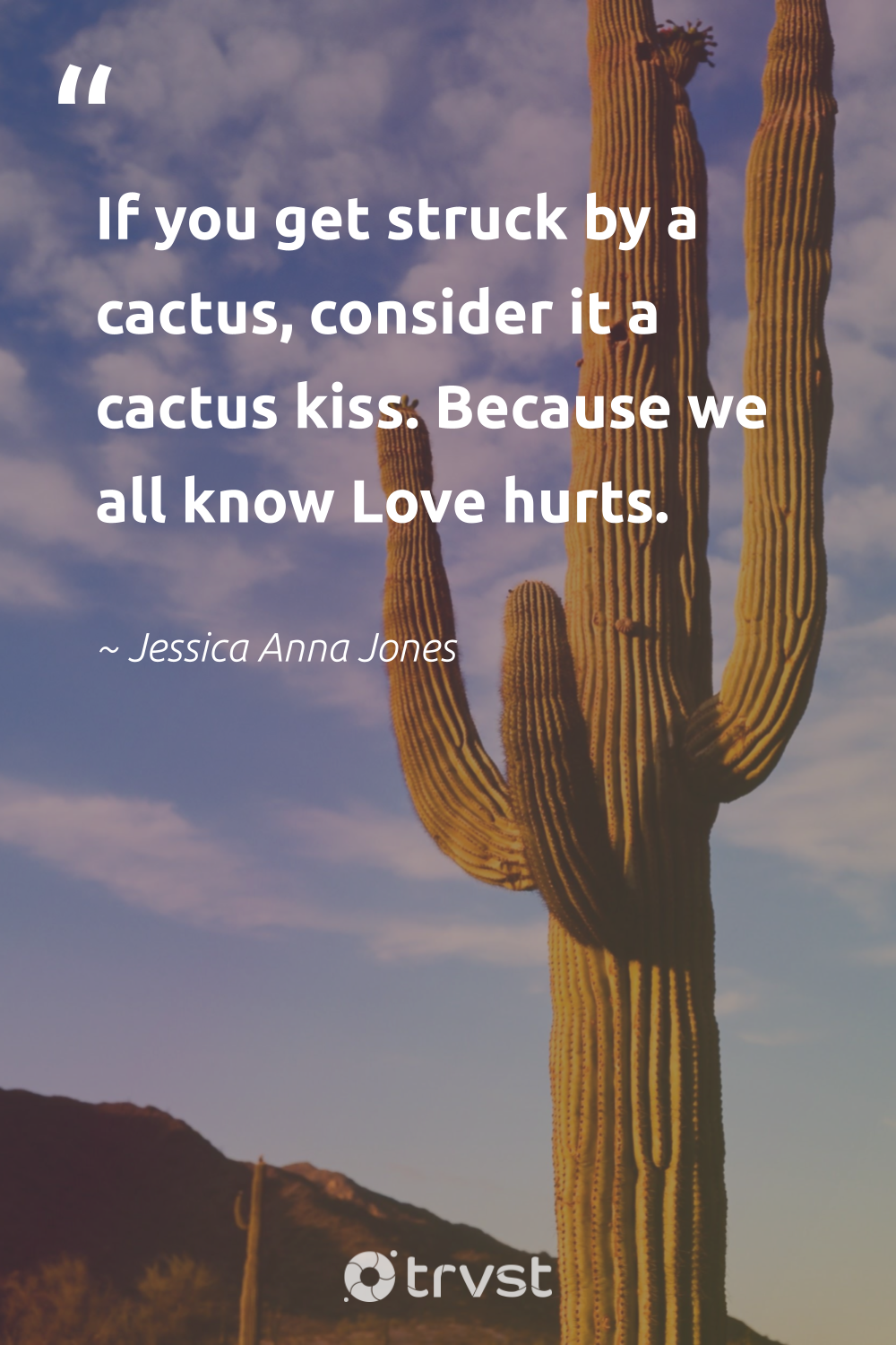 34 Cactus Quotes About Prickles and Resilience (2025)