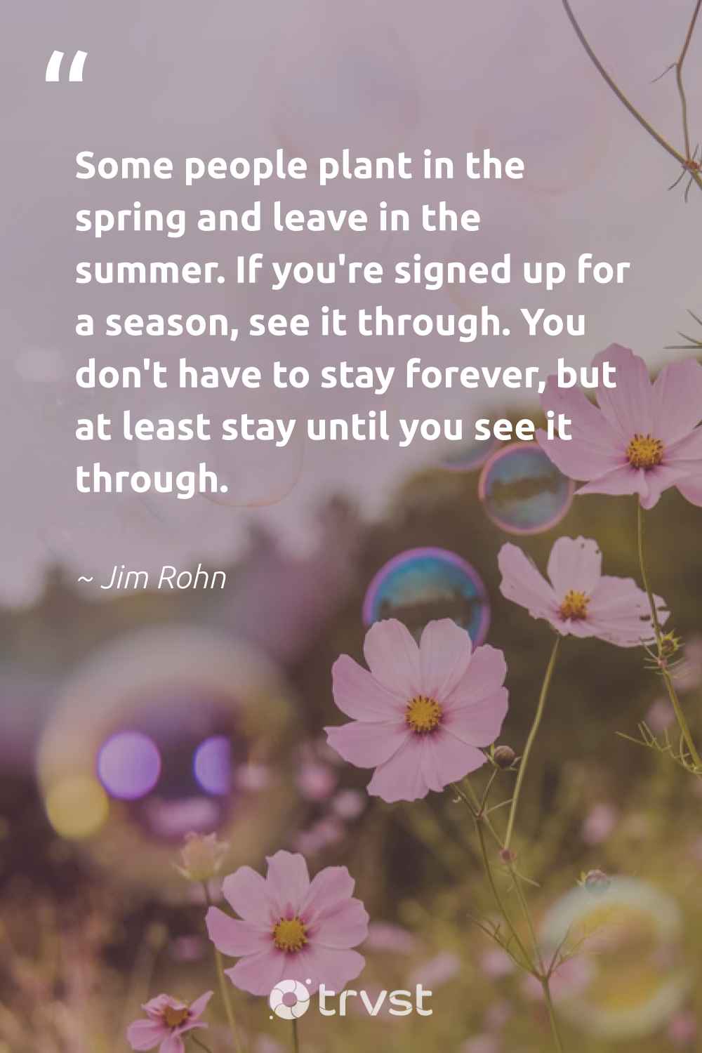 69 Plant Quotes to Inspire Your Green Thumb and Plant Love