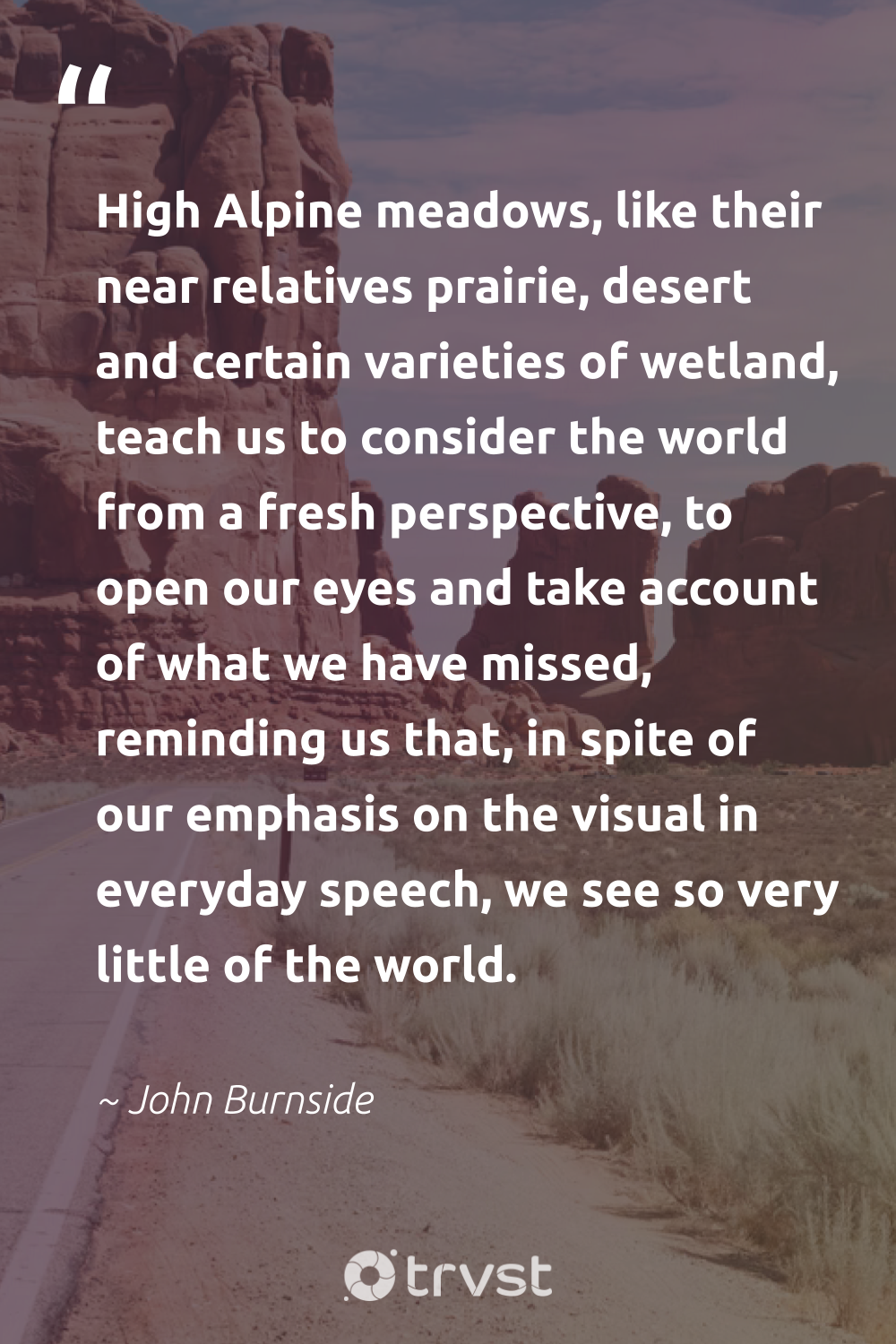 54 Desert Quotes About Life and The Beauty of Barren Landscapes
