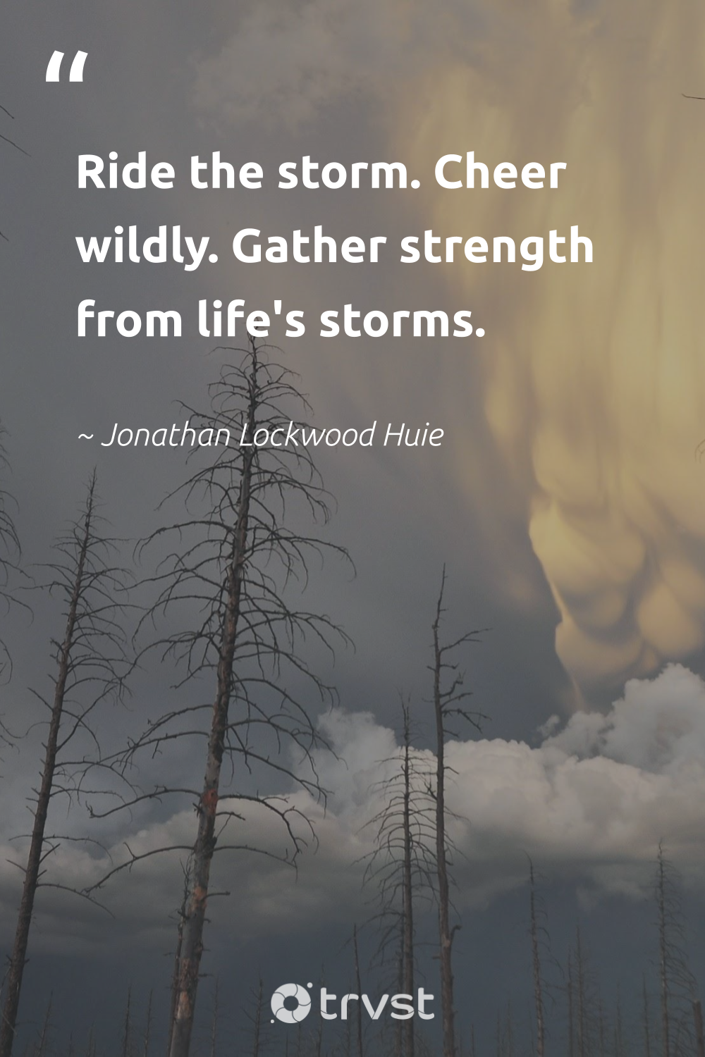 65 Storm Quotes To Navigate Choppy Weather (2025)