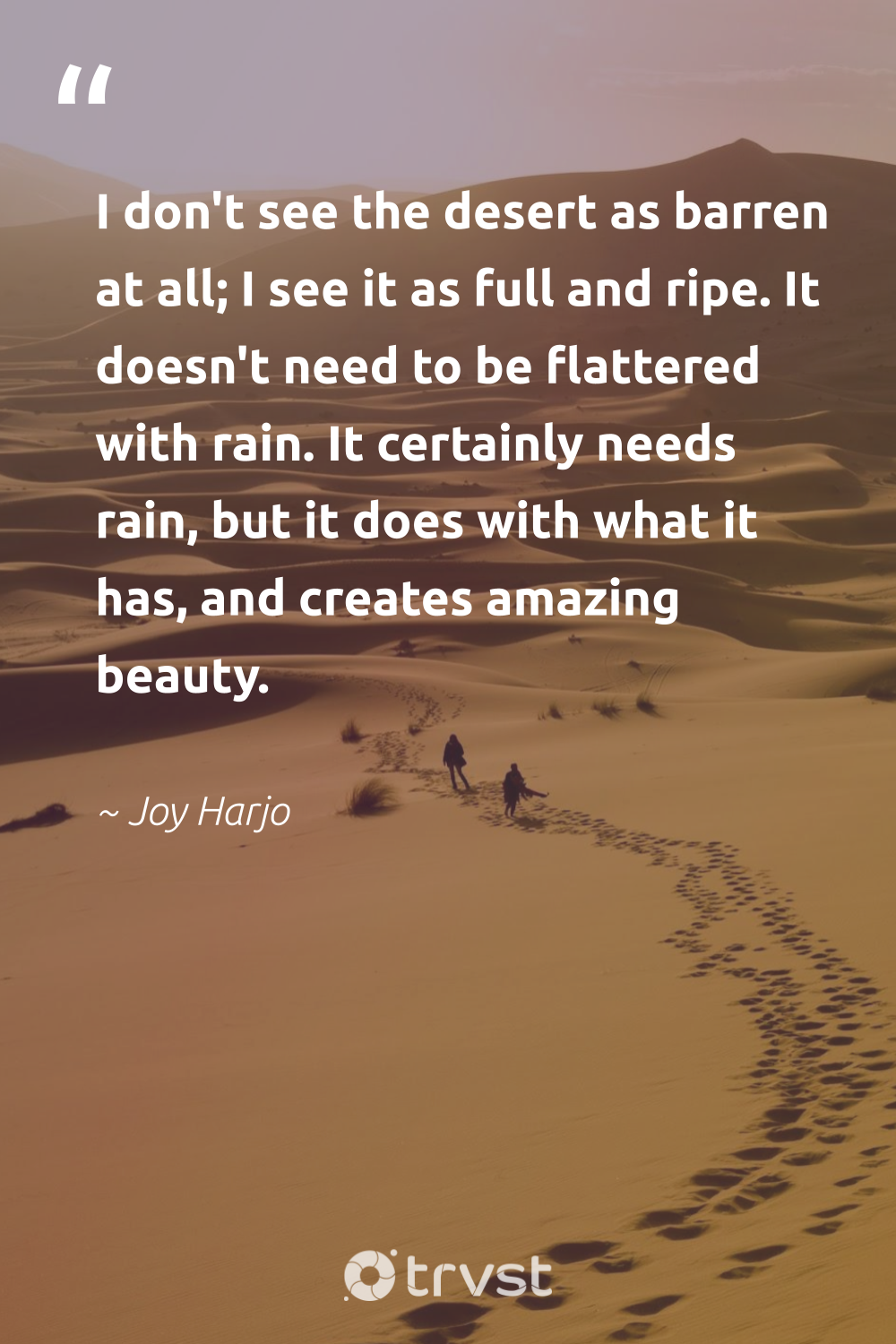 54 Desert Quotes About Life and The Beauty of Barren Landscapes