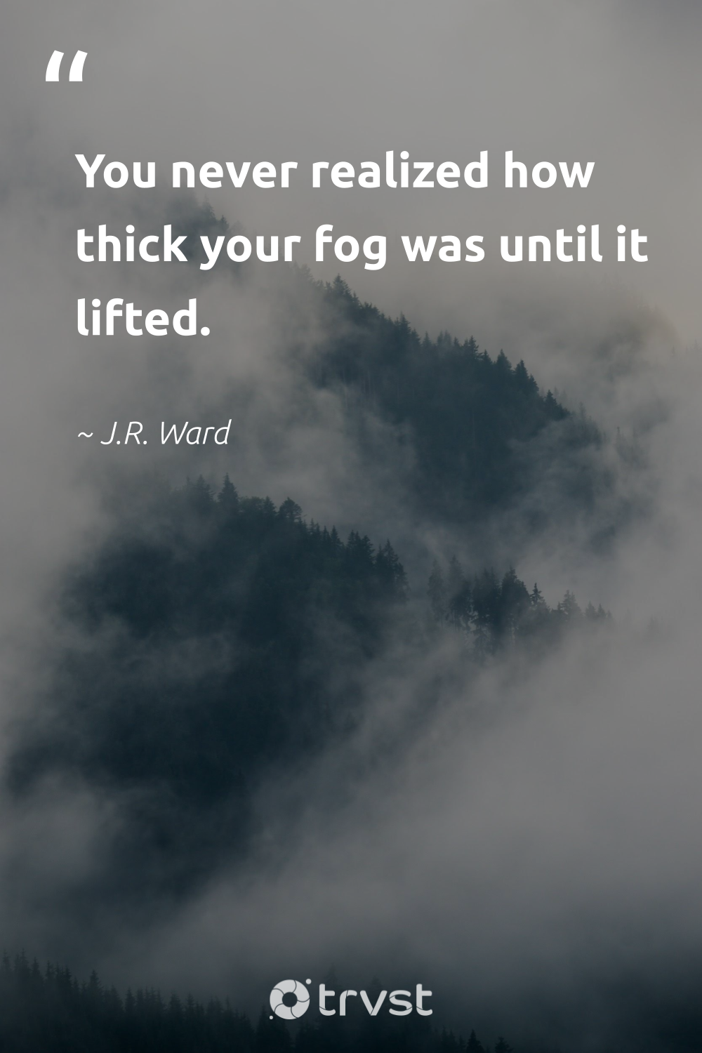66 Fog Quotes for Those Quiet Misty Morning Reflections (2025)