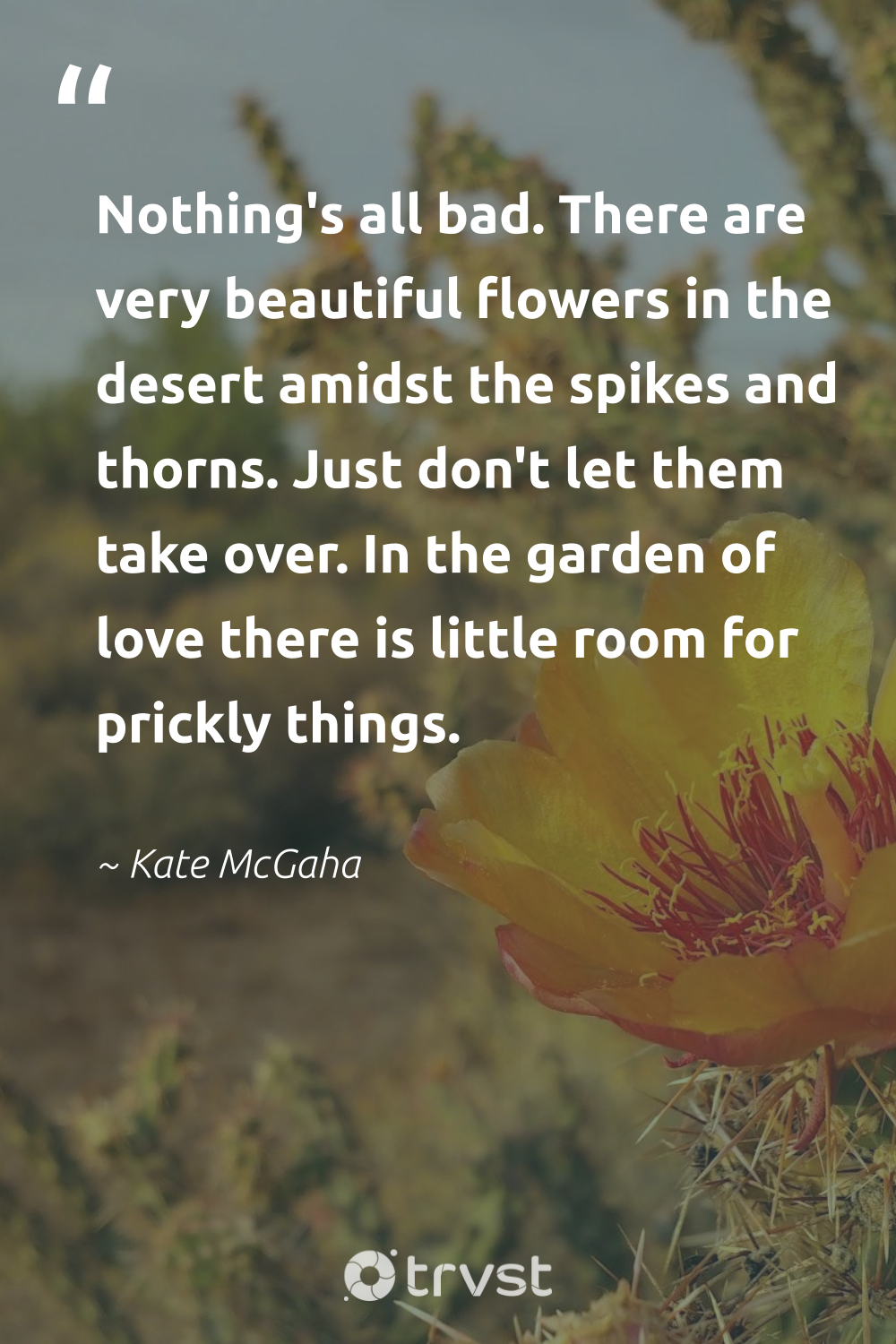 34 Cactus Quotes About Prickles and Resilience (2025)