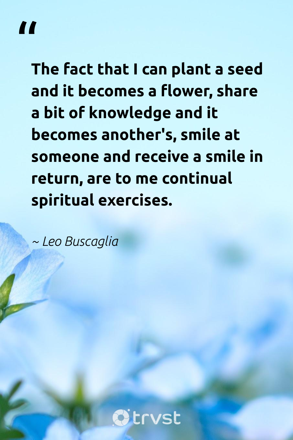 69 Plant Quotes to Inspire Your Green Thumb and Plant Love