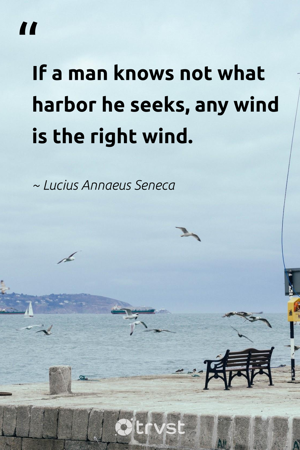 72 Wind Quotes About Brisk Days and Windy Moments (2024)